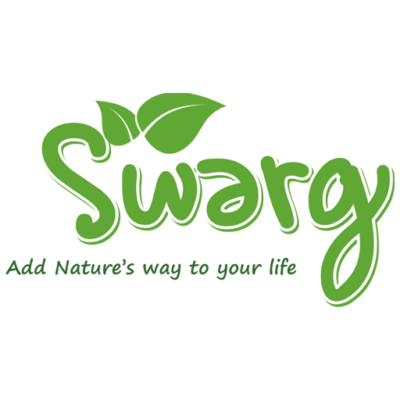 South Indian Mixture - Swarg Food